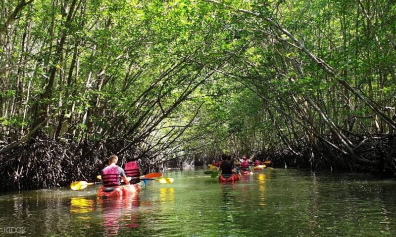 Koh Lanta: Amazon Mangrove Kayaking Tour With Lunch - What to Expect on the Tour