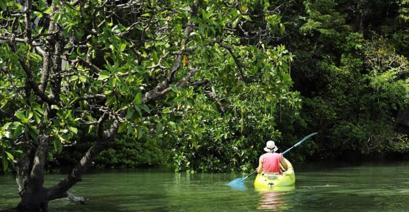 Koh Lanta: Amazon Mangrove Kayaking Tour With Lunch - The Real Value of the Experience
