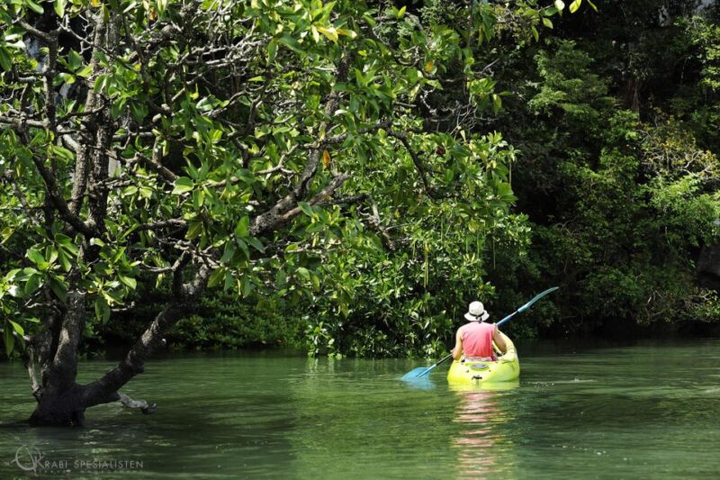 Koh Lanta: Amazon Mangrove Kayaking Tour With Lunch - Frequently Asked Questions