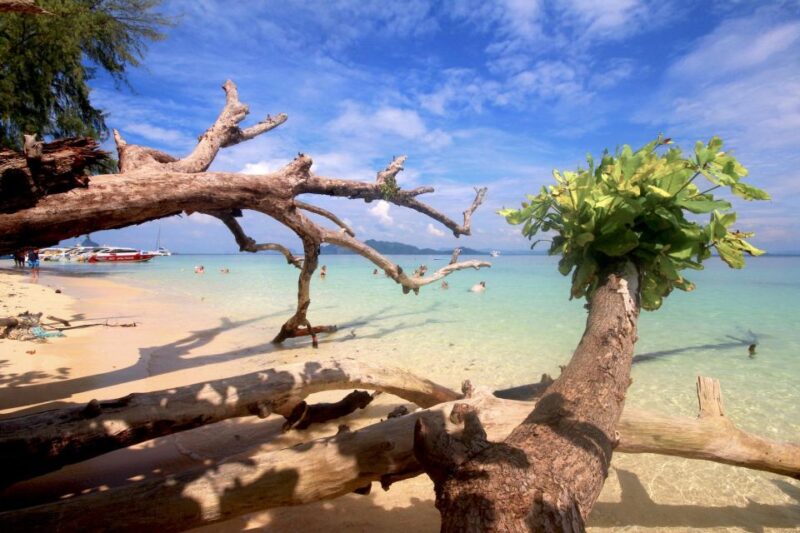 Koh Lanta: Emerald Cave, Ko Kradan & 4 Islands by Speedboat - The Value of This Tour