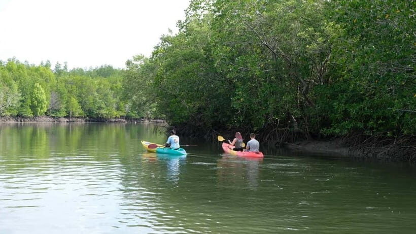 Koh Lanta: Paddle Serenity & Thung Yee Pheng's Mangrove Maze - What to Expect from the Koh Lanta Kayaking Tour