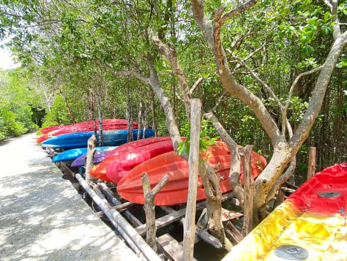 Koh Lanta:Mangrove + Elephant Camp Half Day Tour - Why This Tour Offers Great Value
