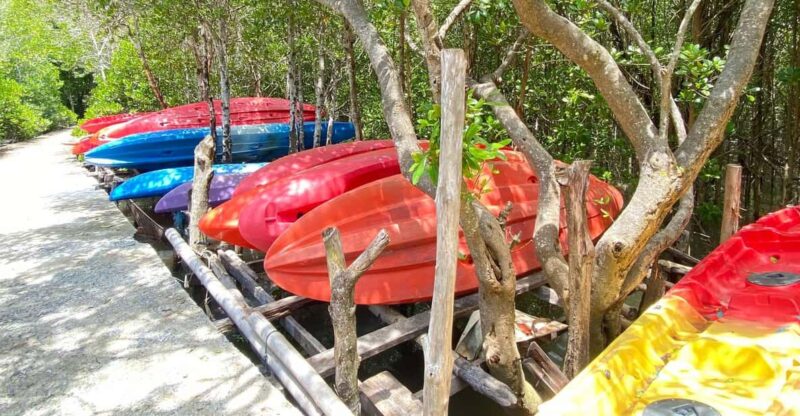 Koh Lanta:Mangrove + Elephant Camp Half Day Tour - Final Thoughts