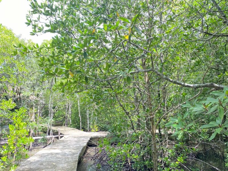 Koh Lanta:Mangrove + Elephant Camp Half Day Tour - FAQ