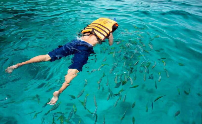 Koh Lipe: 5 Island Snorkeling Trip by Longtail Boat w/ Lunch - Practical Details and Tips