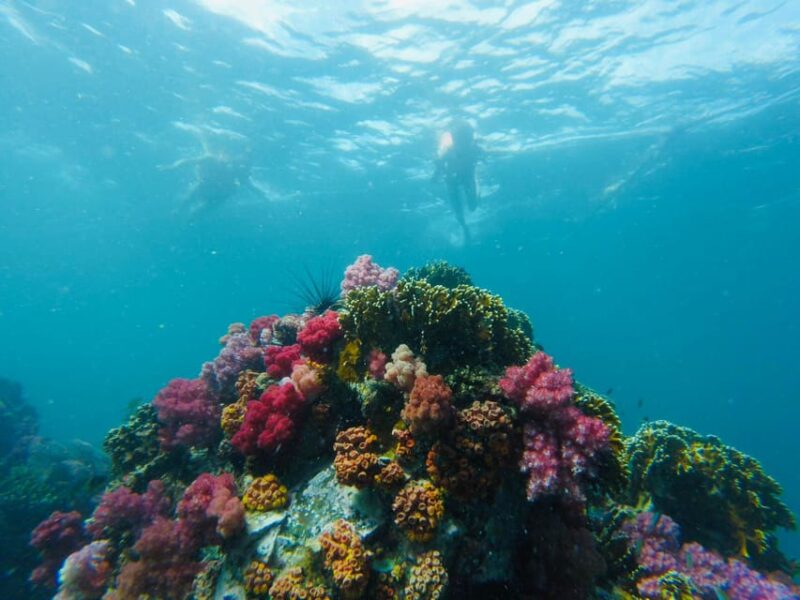 Koh Lipe: 7 Island Snorkeling Trip by Longtail Boat w/ Lunch - The Sum Up