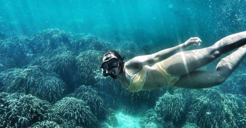 Koh Lipe: Full Day Multi-Island Snorkeling Trip with Lunch - An In-Depth Look at the Koh Lipe Snorkeling Adventure