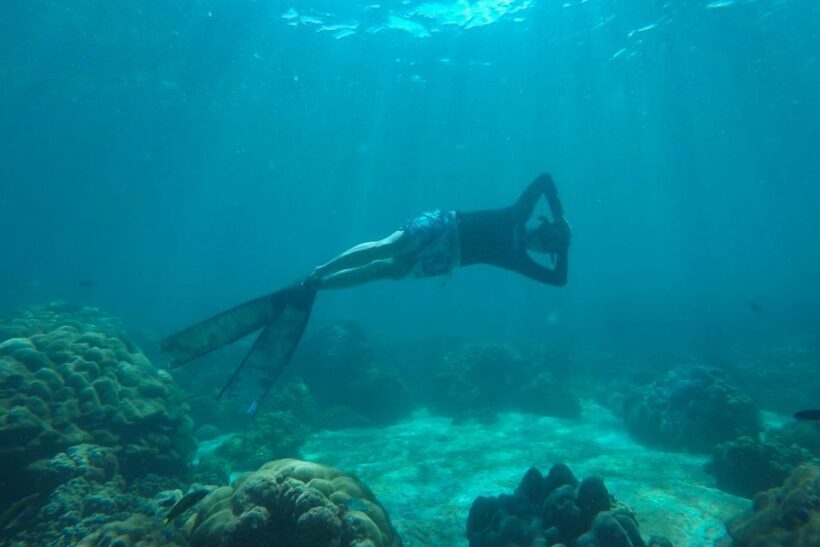 Koh Lipe: Full Day Multi-Island Snorkeling Trip with Lunch - Who Will Love This Trip?