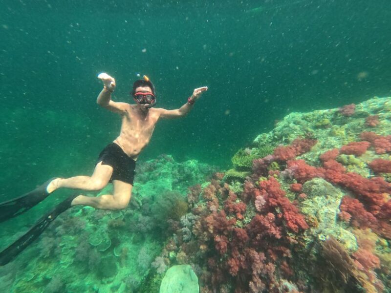 Koh Lipe: Outer Islands Snorkeling Trip by Longtail Boat - Key Points