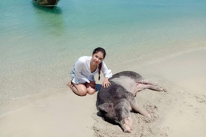 Koh Madsum and Koh Tan Snorkeling Trip By Speedboat From Koh Samui - The Bottom Line: Who Is This Tour For?