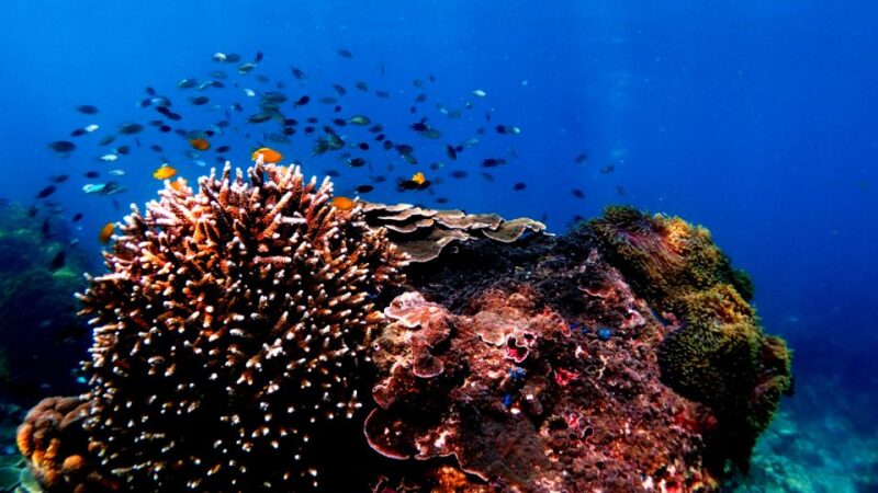 Koh Ngai: Emerald Cave, Kradan, Chueak Private Longtail Boat - Key Points