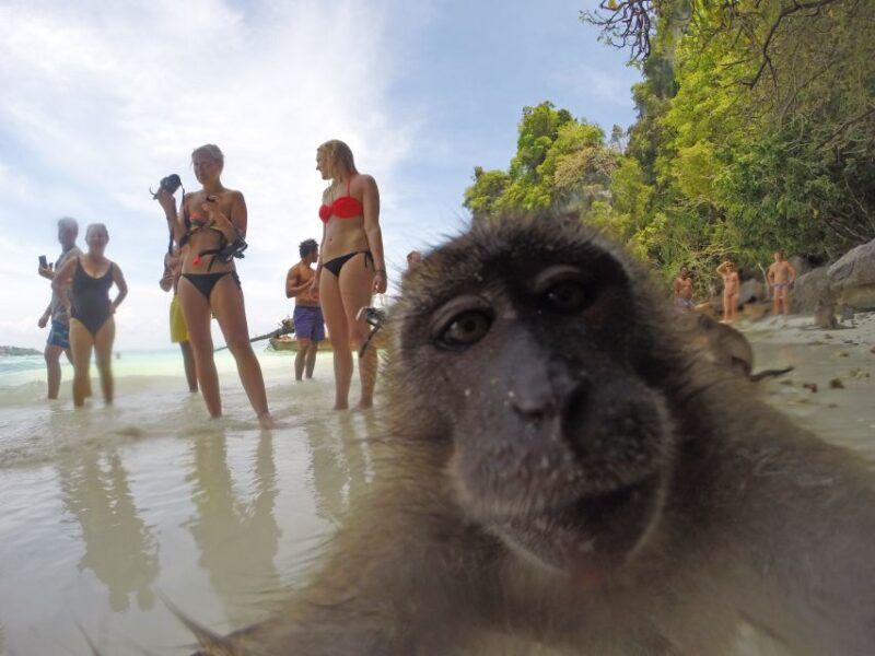 Koh Phi Phi: Captain Bob's Private Booze Cruise - Value for Money