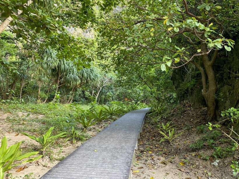Koh Phi Phi: Early Morning Maya Bay, Bamboo Speedboat Tour - FAQ