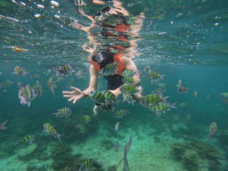 Koh Phi Phi: Early Morning Maya Bay, Bamboo Speedboat Tour - The Sum Up