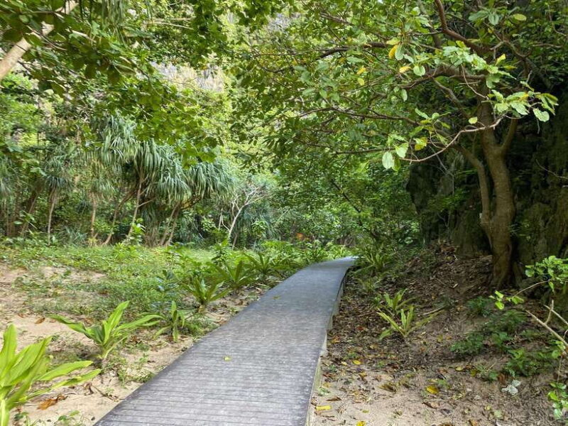 Koh Phi Phi: Early Morning Maya Bay, Bamboo Speedboat Tour - FAQ