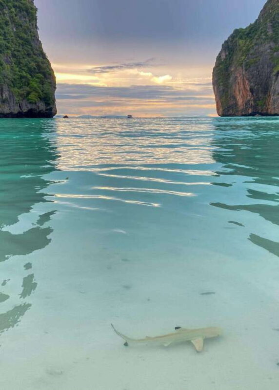Koh Phi Phi: Maya Bay Private Longtail Boat Tour - Who Will Love This Tour?
