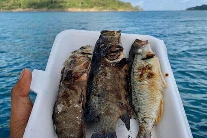 Koh Rong Fishing & Snorkeling tour (Private) - Transportation and Timing