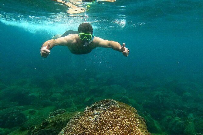 Koh Rong Snorkeling Tour (Private) - Key Points