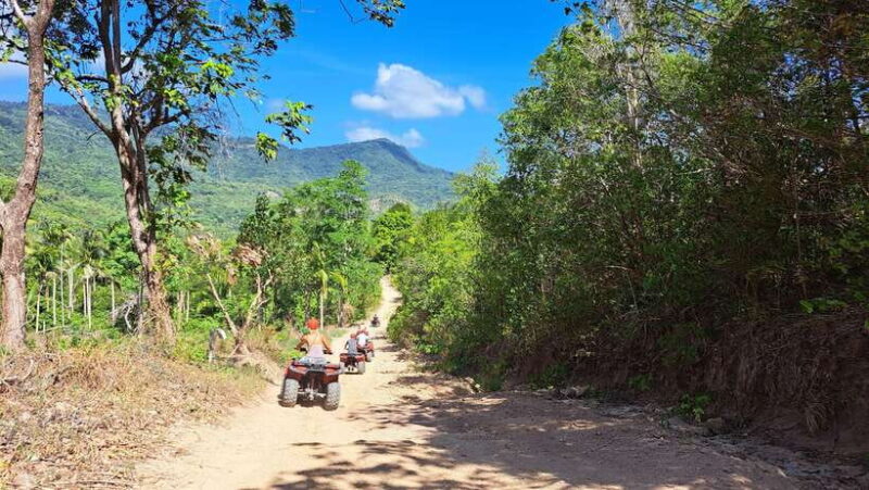 Koh Samui: 2-Hour Unique ATV Quad Bike Off-Road Adventure - Key Points