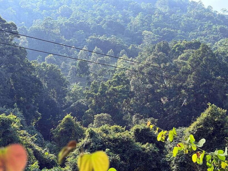 Koh Samui: 2-Hour Unique ATV Quad Bike Off-Road Adventure - Safety and Practical Tips
