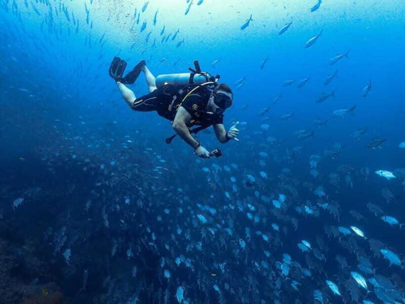 Koh Samui: 3-Day PADI Open Water Diver Course - Who Should Consider This?