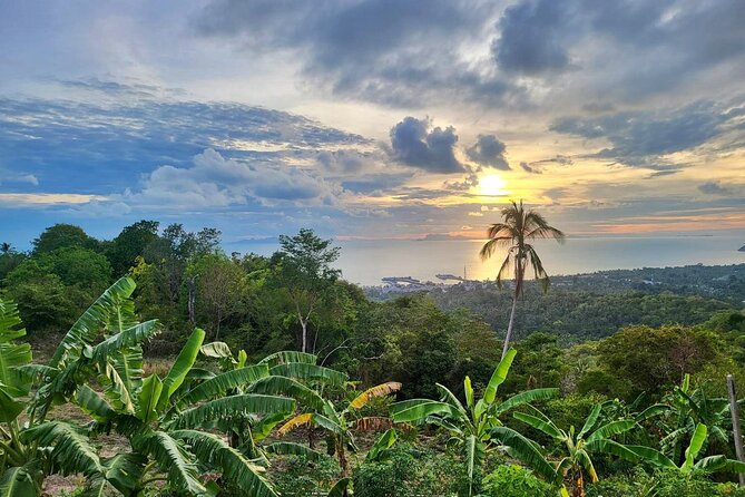 Koh Samui 4WD Jeep Jungle Tour - The Sum Up