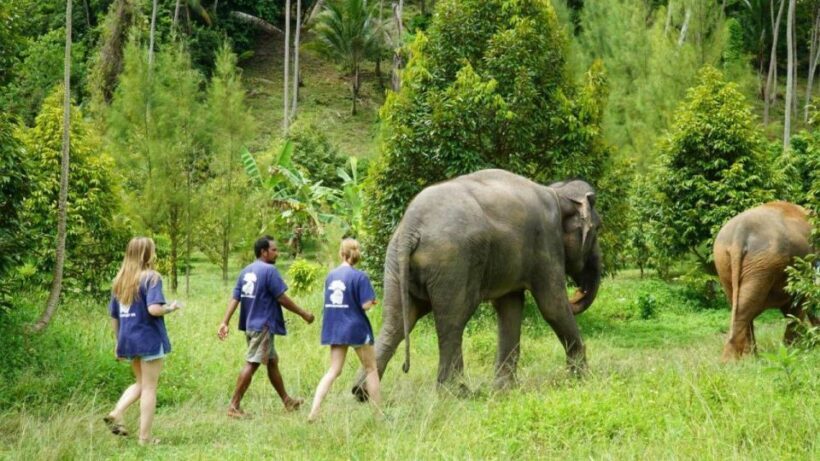 Koh Samui: 4x4 Sightseeing Safari & Elephant Sanctuary Tour - An Authentic Peek Into Koh Samui on a 4x4 Safari