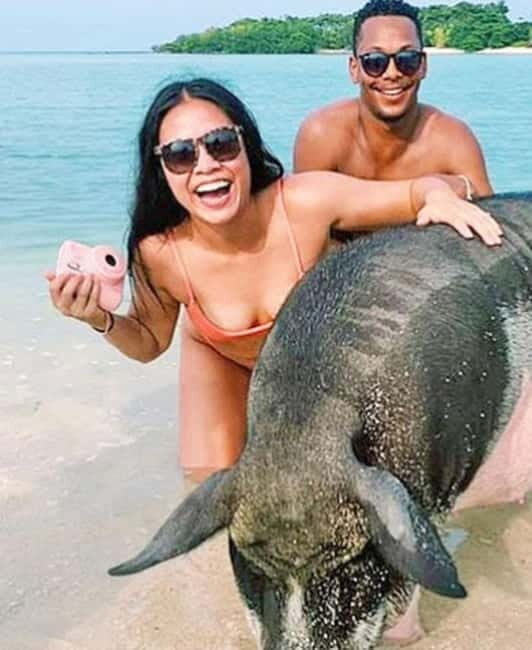 Koh Samui: Amazing Pig Island Tour - Cruise Ship Tours - What to Expect from a Typical Day
