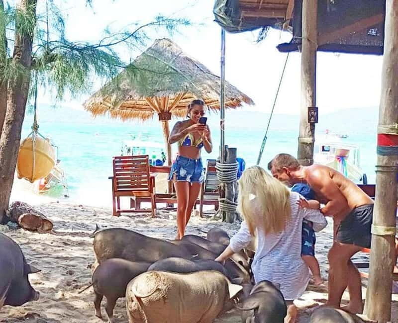 Koh Samui: Amazing Pig Island Tour - Cruise Ship Tours - Who Should Consider This Tour?