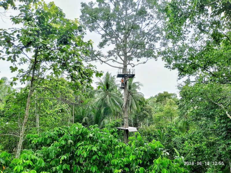 Koh Samui: ATV And Zipline Experience with Transfer - The Zipline Experience: Treetop Views with Mixed Feedback