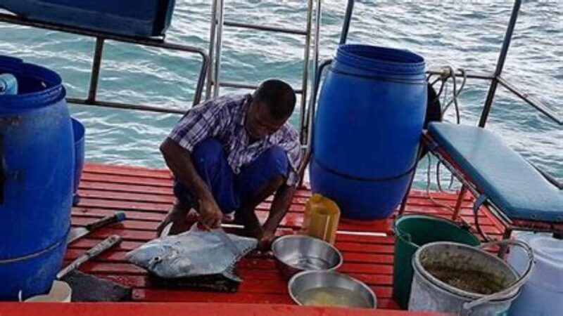 KOH SAMUI DAY FISHING Private group - The Fishing Experience