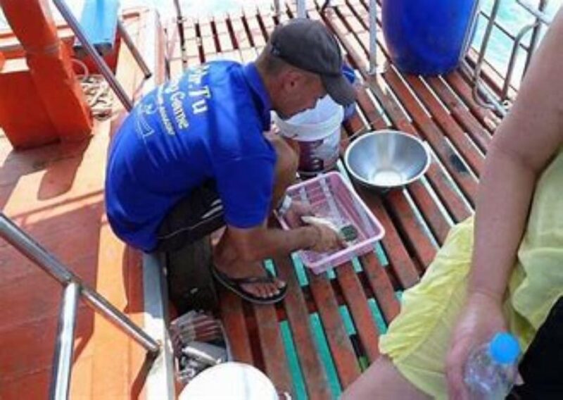 KOH SAMUI DAY FISHING Private group - Who Should Consider This Experience?