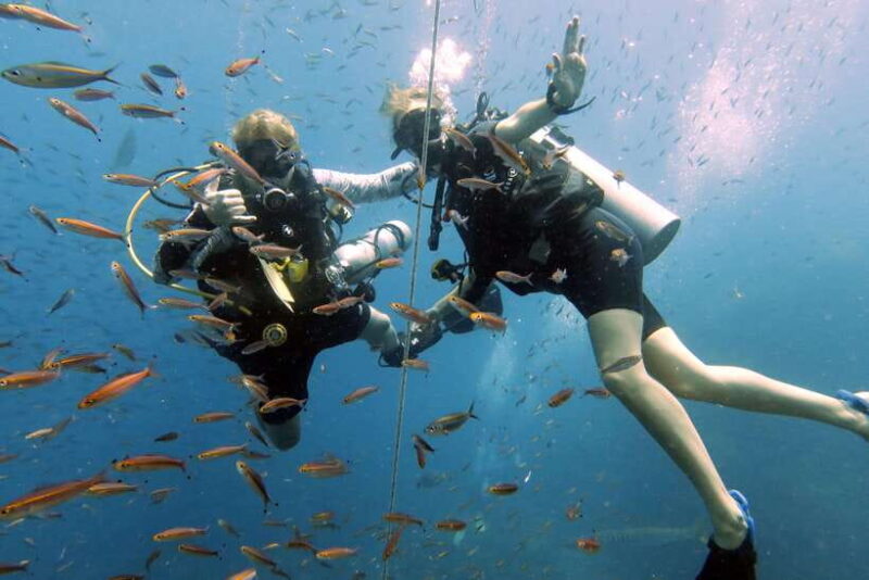 Koh Samui: Discover Scuba Diving - FAQs