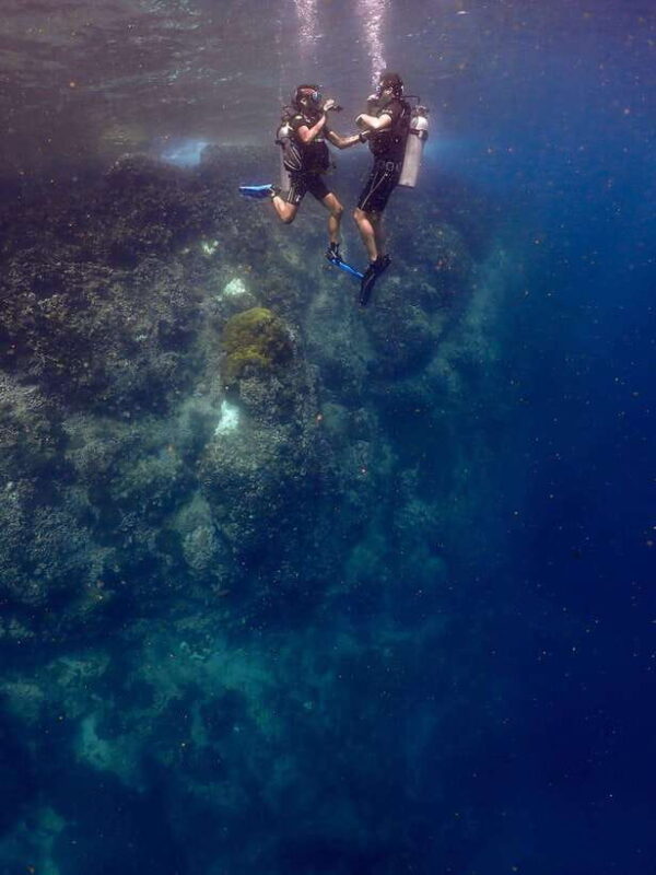 Koh Samui: Discovery Dive to Koh Tao or Sail Rock - Key Points