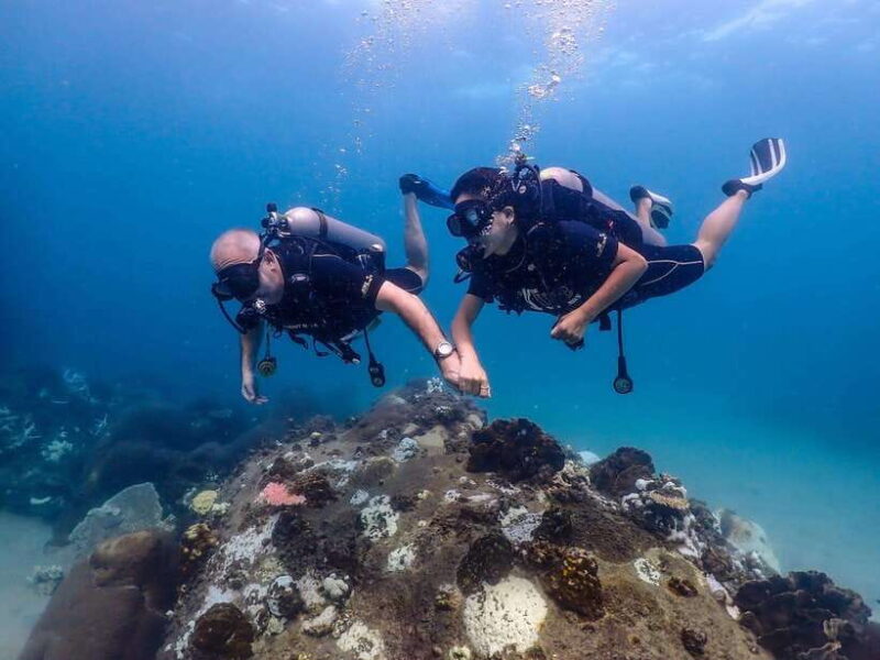 Koh Samui: Discovery Dive to Koh Tao or Sail Rock - FAQ – Everything You Need to Know