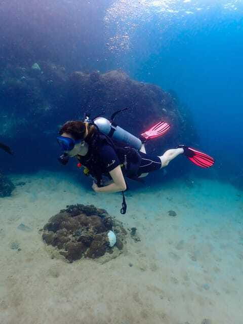 Koh Samui: Dive Tour to Koh Tao - FAQs