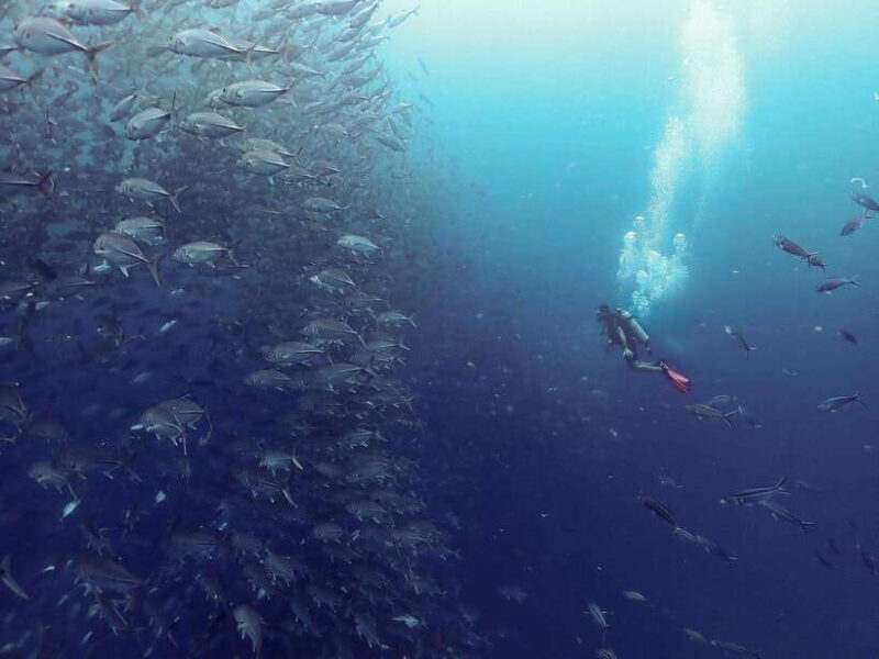 Koh Samui: Dive Tour to Sail Rock - FAQ