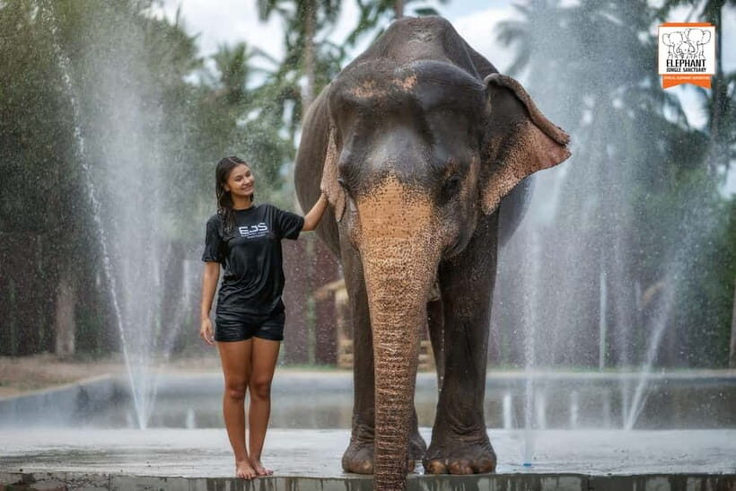 Koh Samui: Elephant Jungle Sanctuary Half-Day Tour - Who Is This Tour Best For?