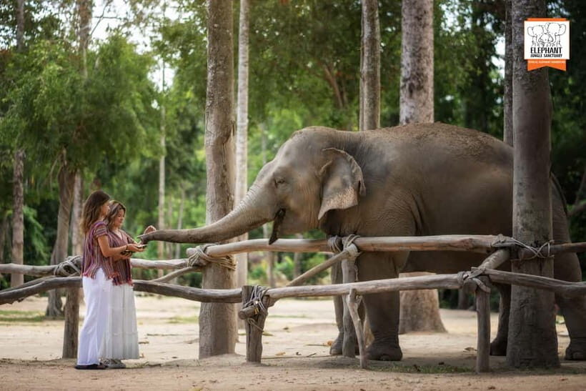 Koh Samui: Elephant Jungle Sanctuary Half-Day Tour - Frequently Asked Questions
