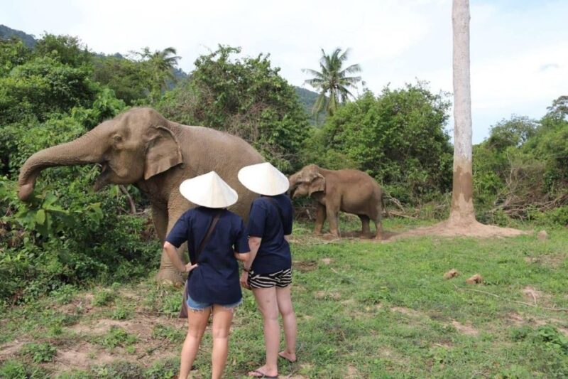 Koh Samui: Elephant Sanctuary and more - Full Day - Who Should Consider This Tour?
