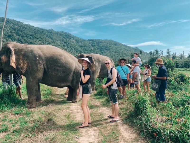 Koh Samui: Elephant Sanctuary and more - Full Day - FAQ