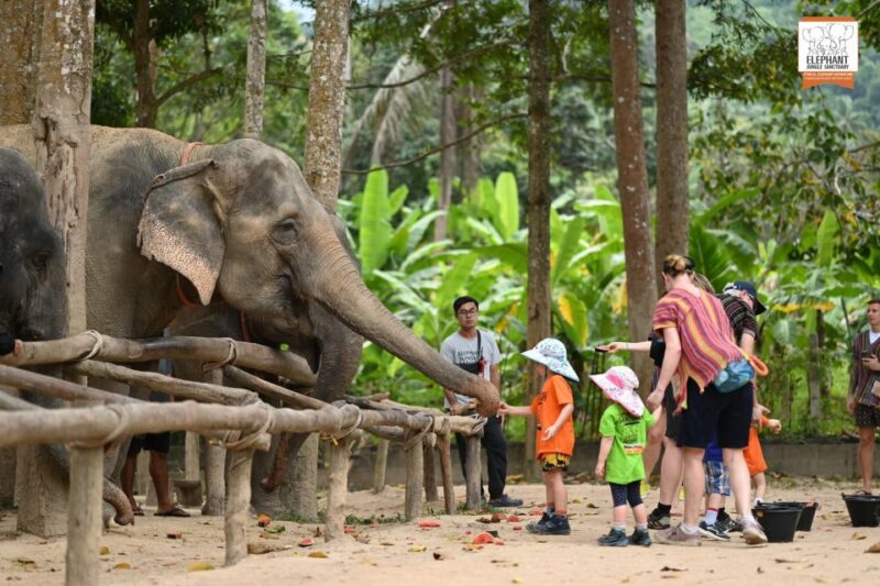 Koh Samui: Elephant Sanctuary Entry and Feeding Experience - Key Points