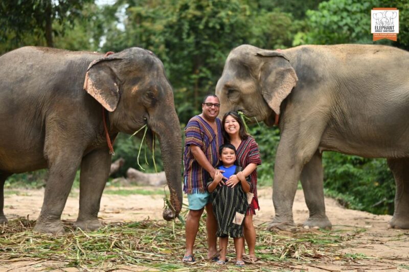 Koh Samui: Elephant Sanctuary Entry and Feeding Experience - Final Thoughts: Who Will Love This?