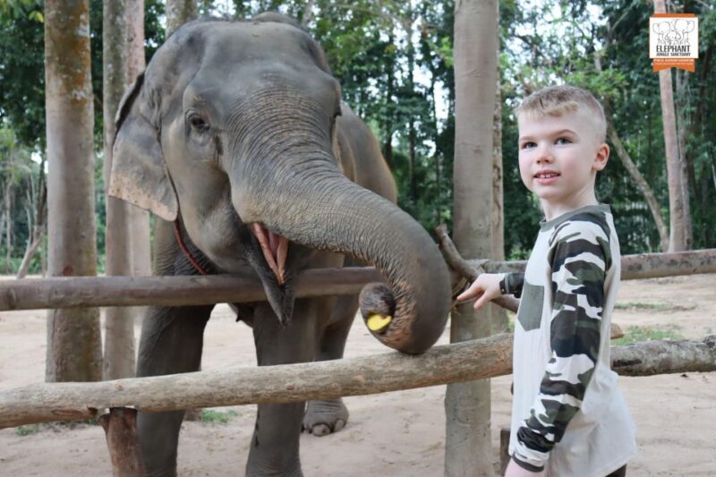Koh Samui: Elephant Sanctuary Entry and Feeding Experience - FAQ