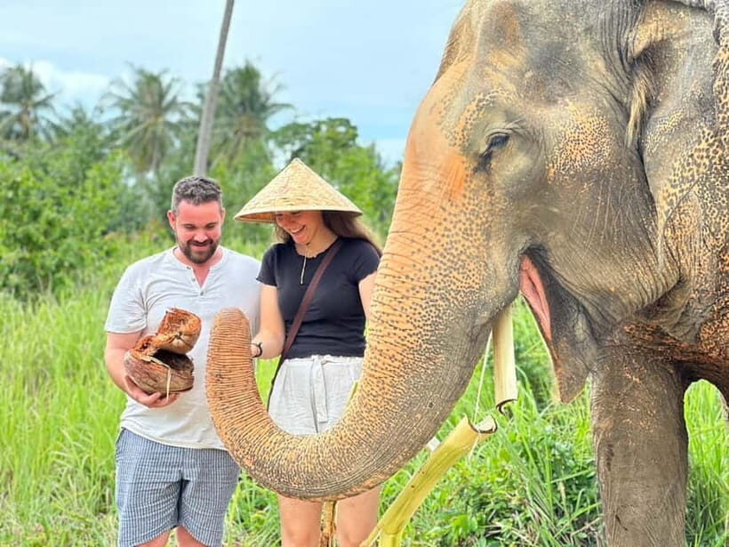 Koh Samui: Ethical Elephant Home Guided Tour with Transfers - Key Points