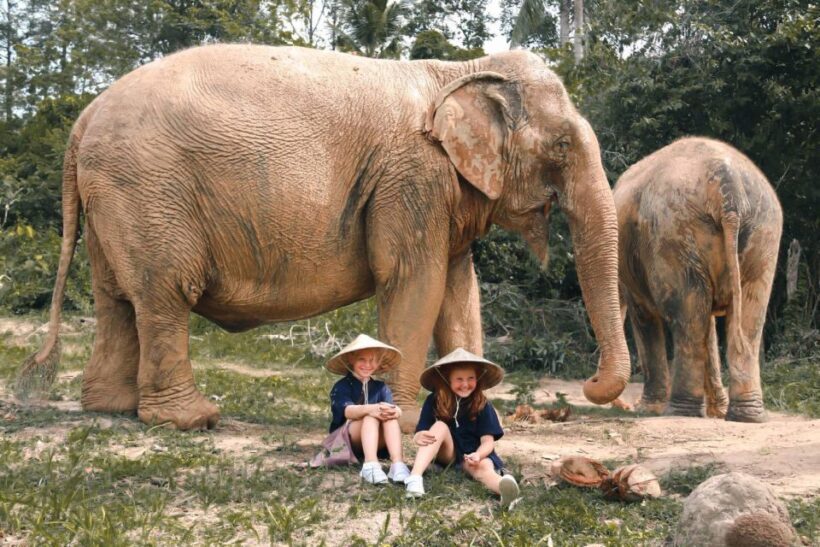 Koh Samui: Ethical Elephant Home Guided Tour with Transfers - An Honest Look at the Experience