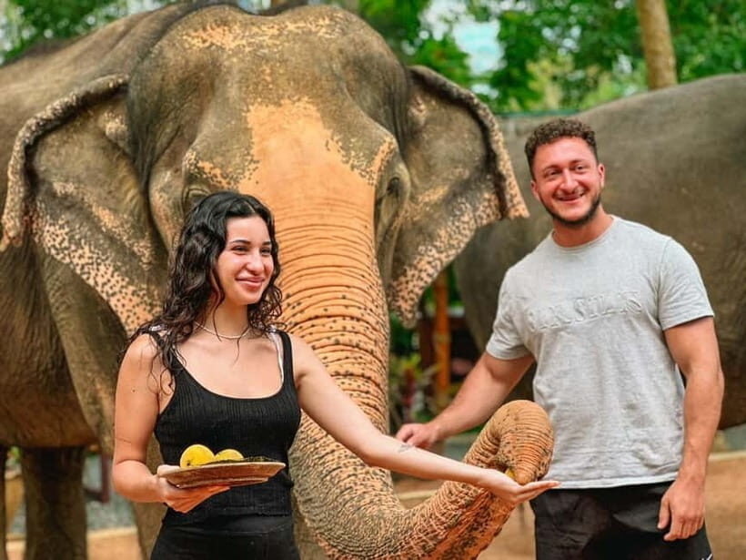 Koh Samui: Ethical Elephant Home Guided Tour with Transfers - Final Word