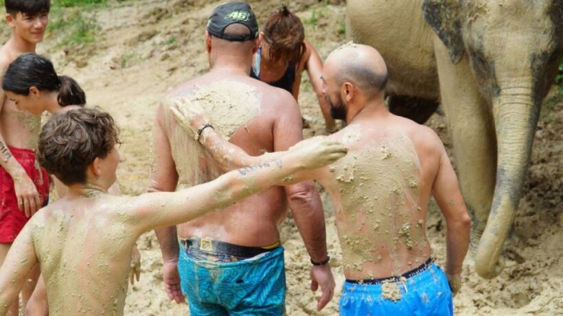 Koh Samui: Half-Day Ethical Elephant Sanctuary with Mud Spa - An Honest Look at the Experience