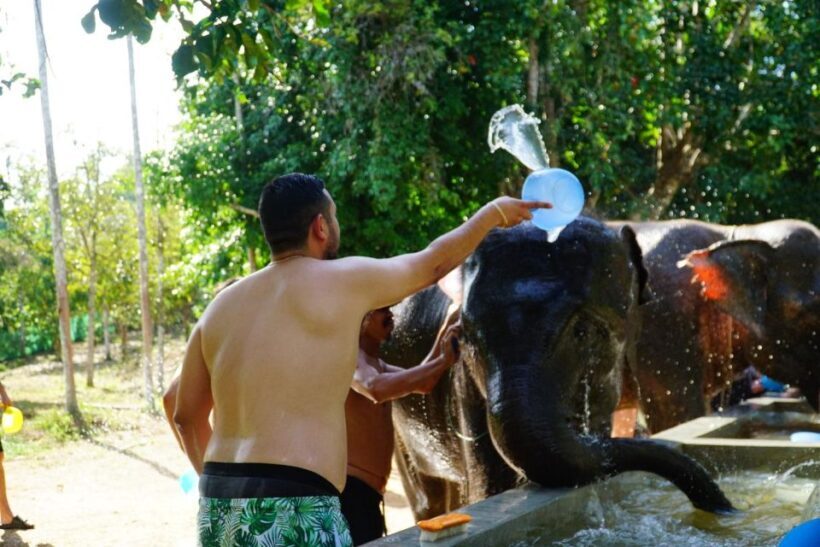Koh Samui: Half-Day Ethical Elephant Sanctuary with Mud Spa - Final Thoughts