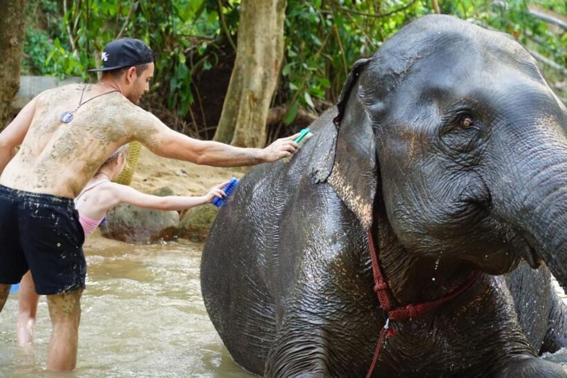 Koh Samui: Half-Day Ethical Elephant Sanctuary with Mud Spa - FAQ